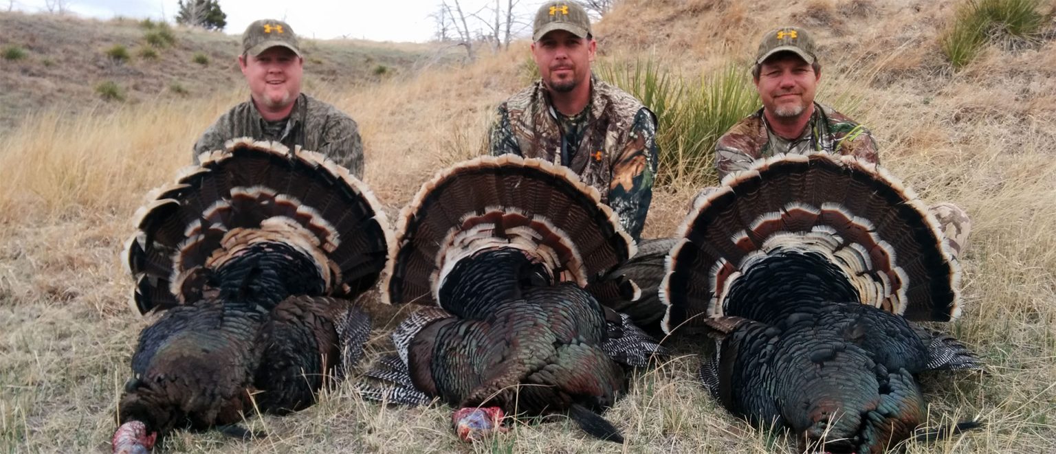Heritage Outfitters NE | Turkey Hunts